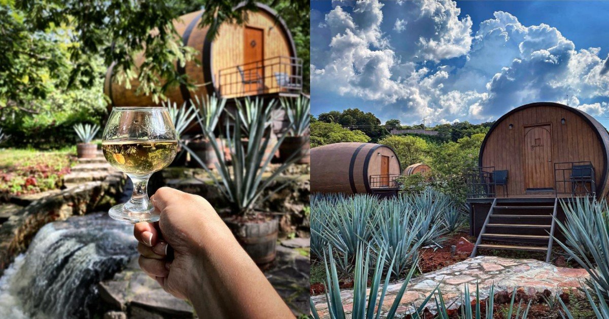 Hotel matices dormir en barril de tequila - HeyHeyHello!